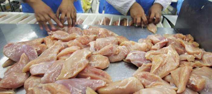 Ways to Maximize Yield Throughout Poultry Processing - DeLong’s ...